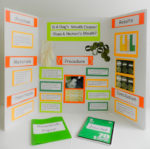Science Fair Ideas | Sassy Cassy's